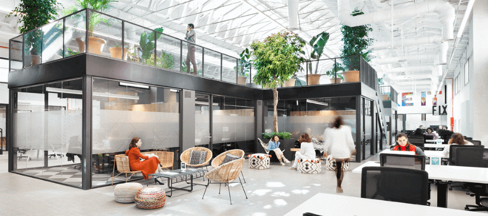 Loom lanza Loom for startups para impulsar el emprendimiento