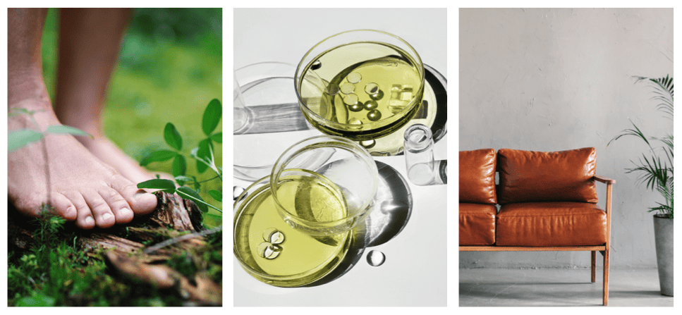 BeAble Capital invierte 450.000€ en Next-Gen Leather