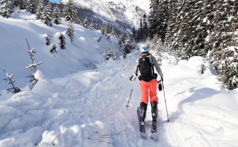 SKIOO y SKITUDE se fusionan en una operación de 8M de euros - El Referente